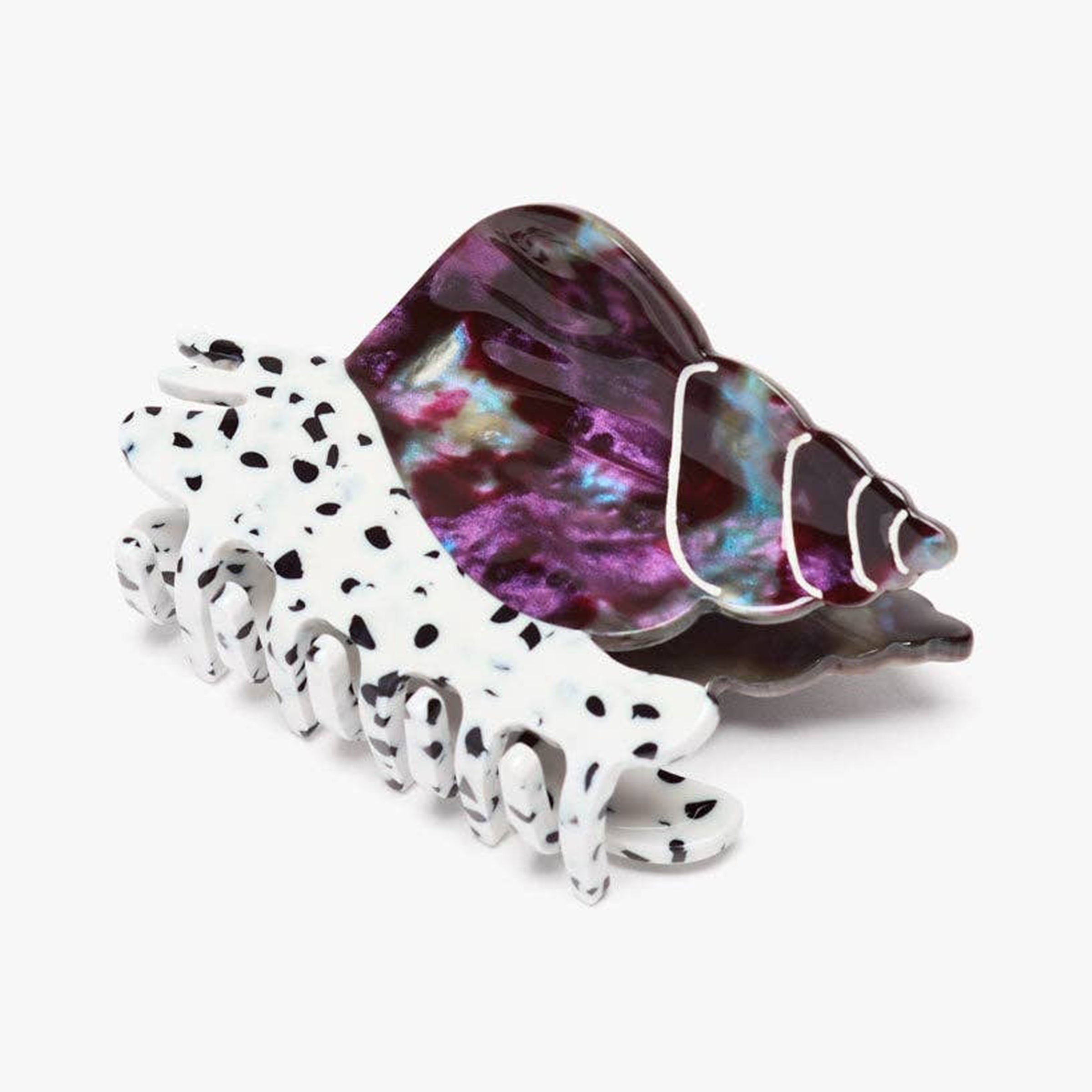 Spotted Whelk Sea Snail Claw – Tender Loving Empire